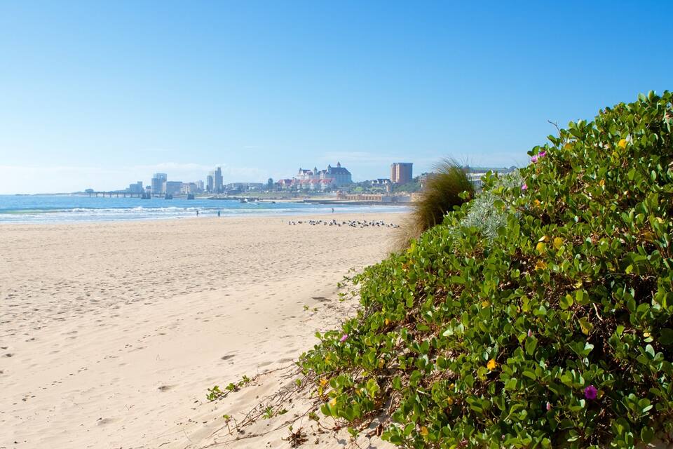 Uma praia arenosa com pegadas, um arbusto verde e o horizonte da cidade ao fundo.