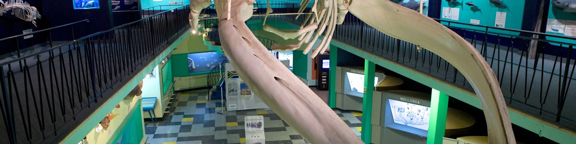 Bayworld mostrando vistas internas e arte