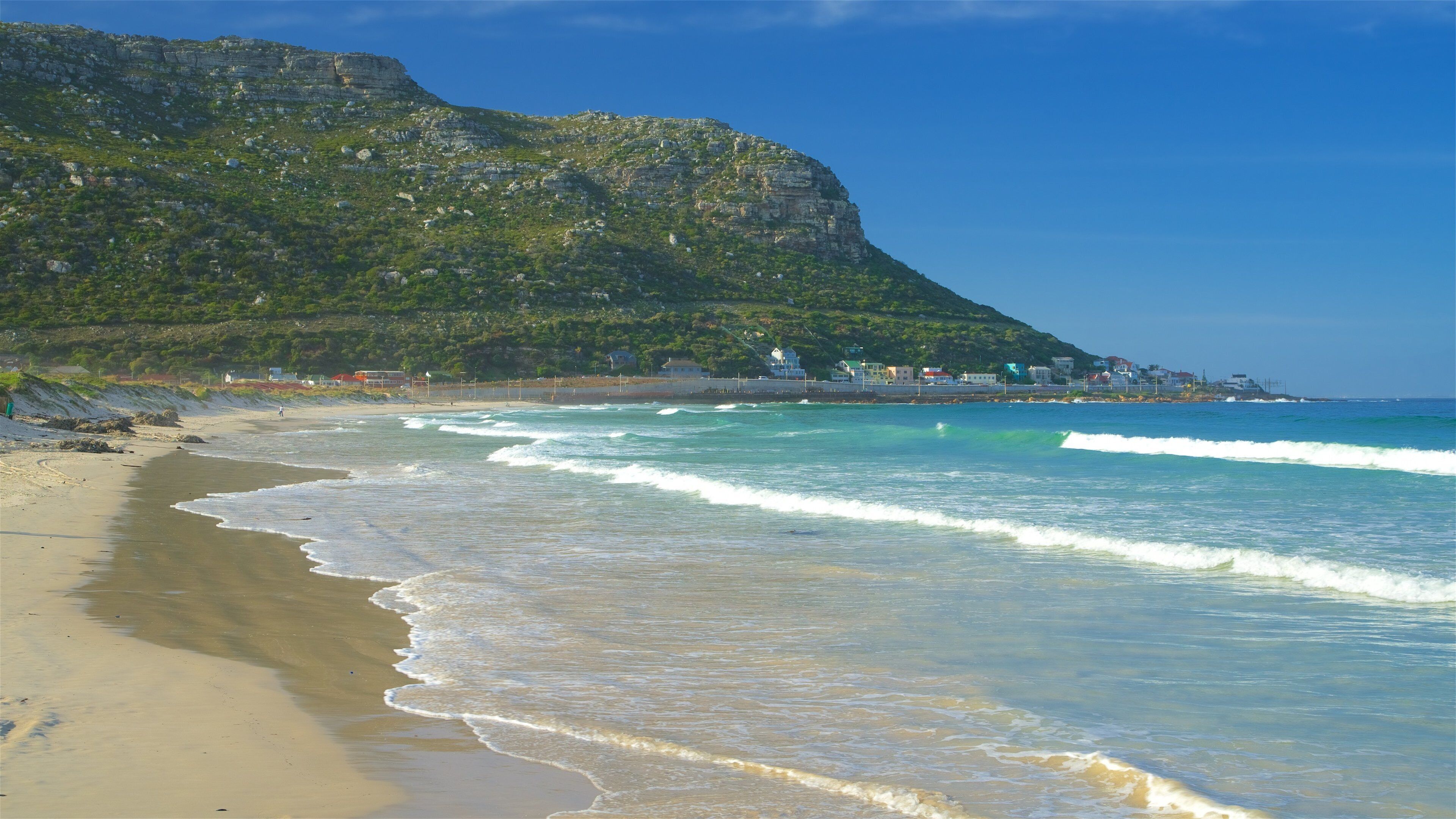 Fish Hoek Beach showing a beach