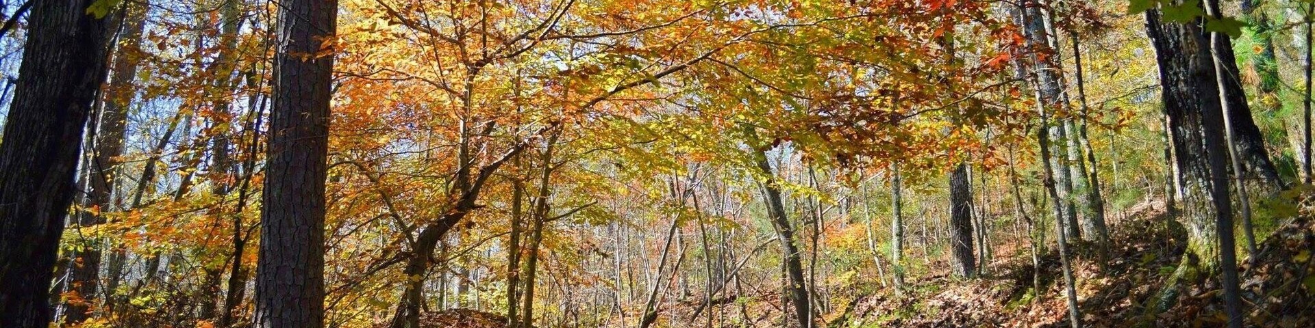 Easy but enjoyable hike to see the fall colors at the iron hill trail!
#hike #fall #outdoors #color #statepark