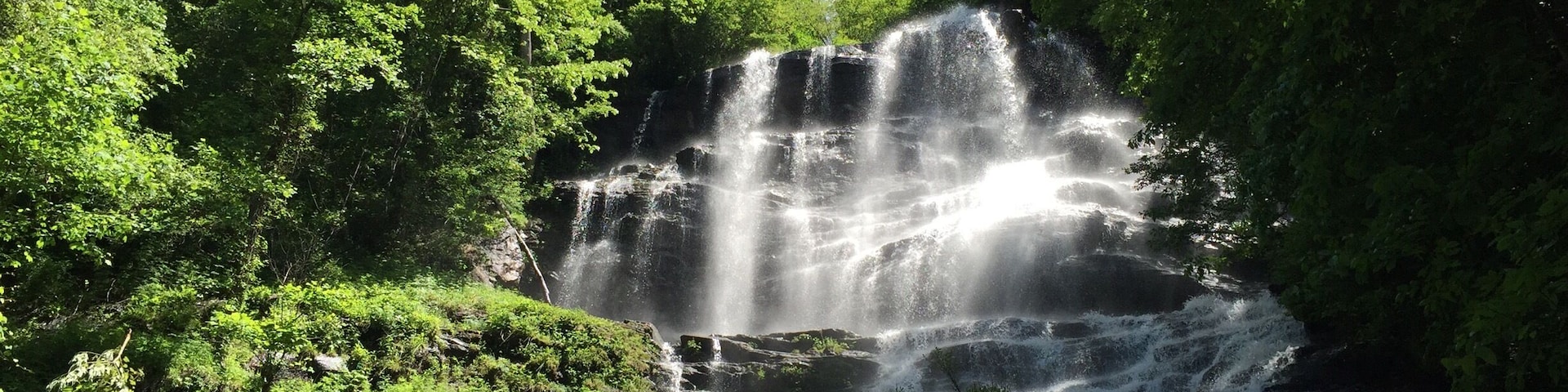 Many trails and loops will ultimately lead you to this amazing view.