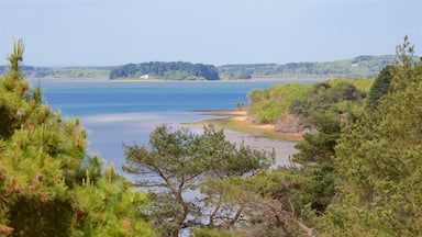 Paisagem costeira com praia arenosa, pinheiros densos e um lago calmo.