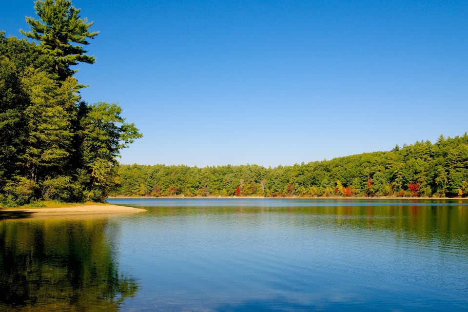 Um lago tranquilo rodeado por uma floresta densa e um céu azul límpido.