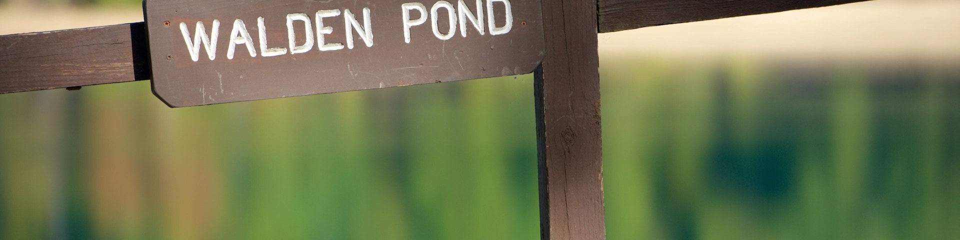 Uma placa de madeira com o texto 'WALDEN POND' em segundo plano, com elementos naturais desfocados.