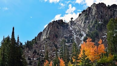 Paisagem montanhosa com folhagem outonal, falésias rochosas e árvores perenes.