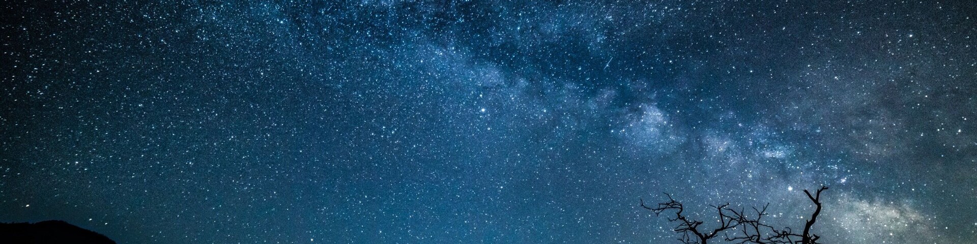 Céu estrelado com a Via Láctea visível, colinas silhuetadas e árvores sem folhas.