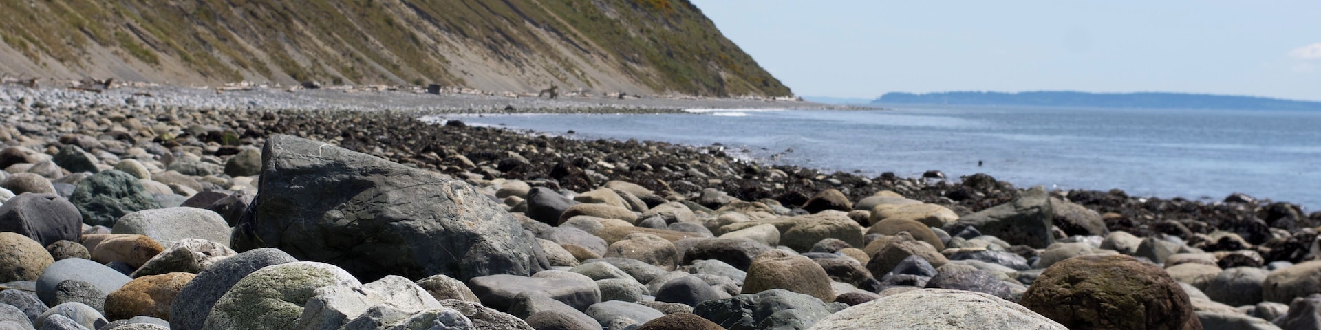 So much rock variety at the beach.