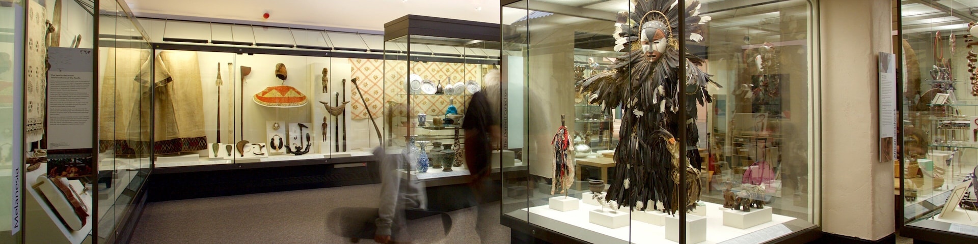 Royal Albert Museum and Gallery caracterizando vistas internas