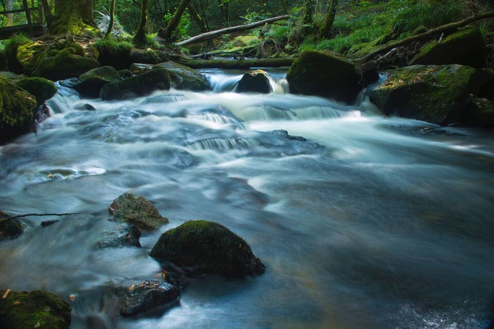 Um rio sinuoso com pedras cobertas de musgo e uma ponte de madeira numa floresta.