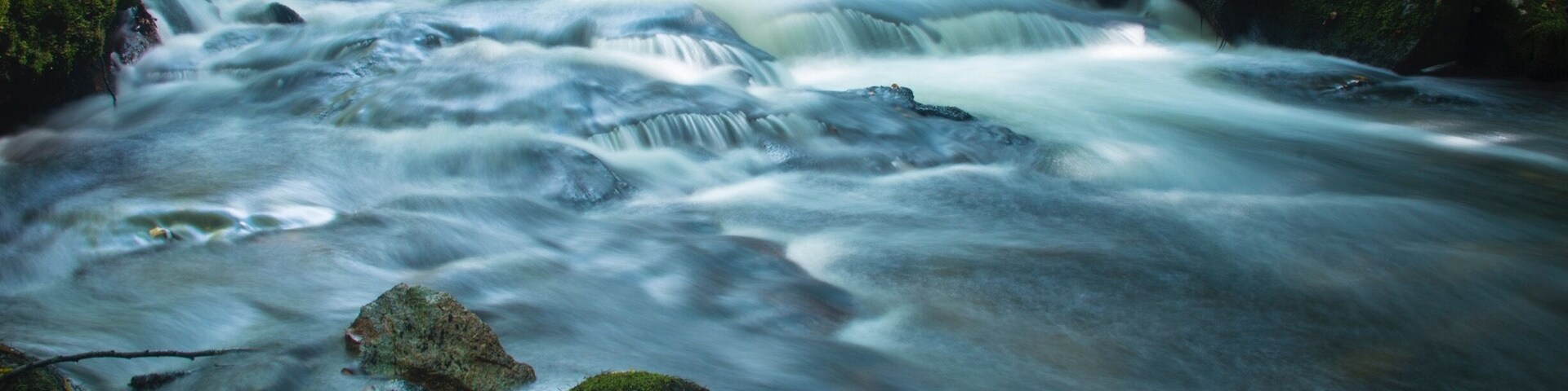 Goliath falls river through the woods