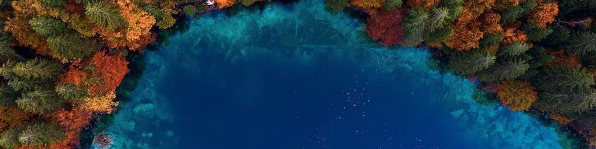 Another top down view on the lake and surrounding forest in beautiful autumn colors.
#BvS100k
#drone
#aerial
#italy
#landscape
#perspectives
#mavic2pro
#morning #fog #autumn #fall #lake #forest