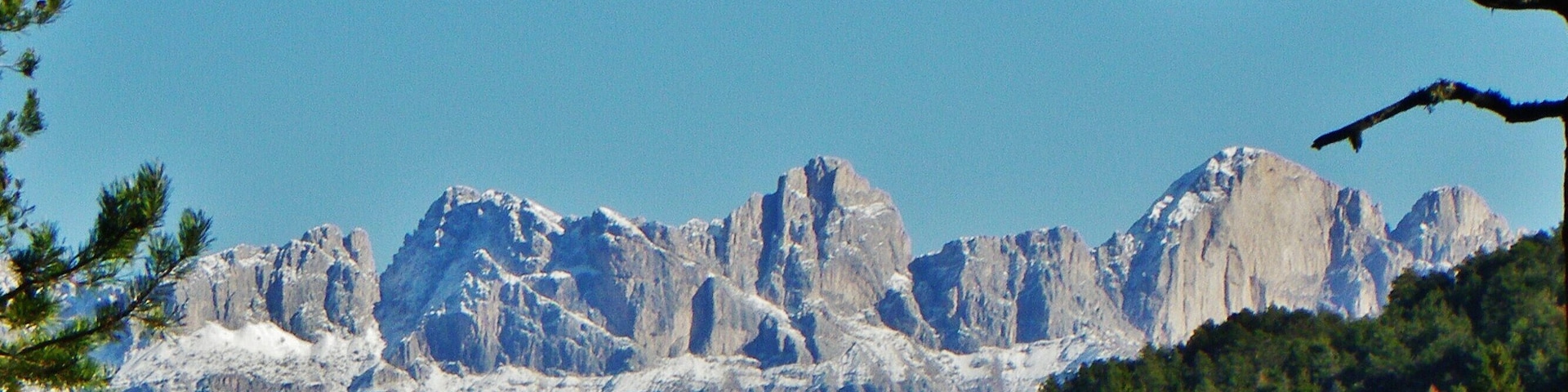 il "Gruppo del Catinaccio" visto dalla Torbiera Woelfl (BZ)