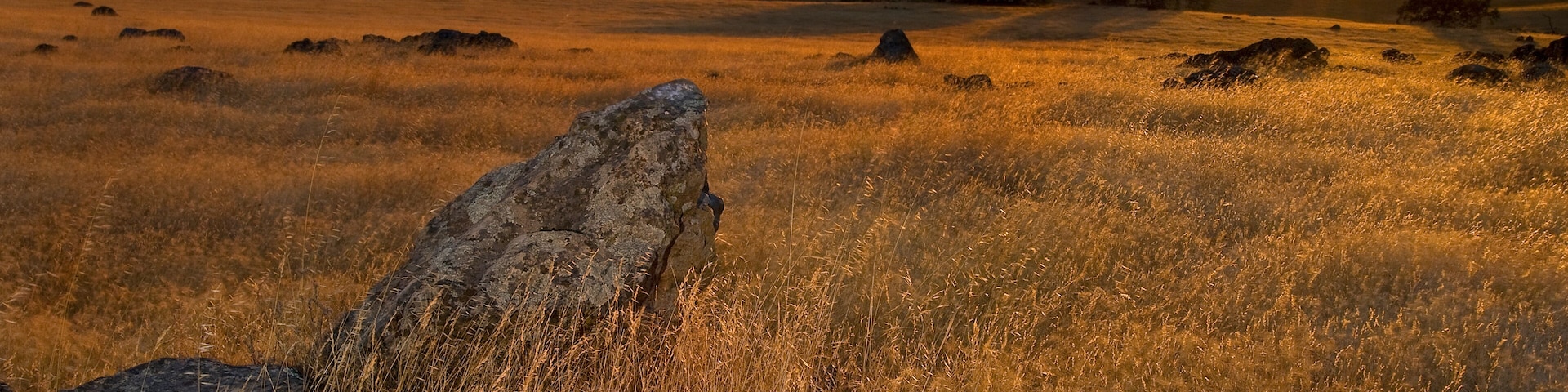 Pôr do sol sobre um campo gramado com pedras espalhadas e colinas ao longe.