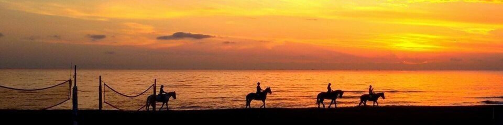 Sunset with horse