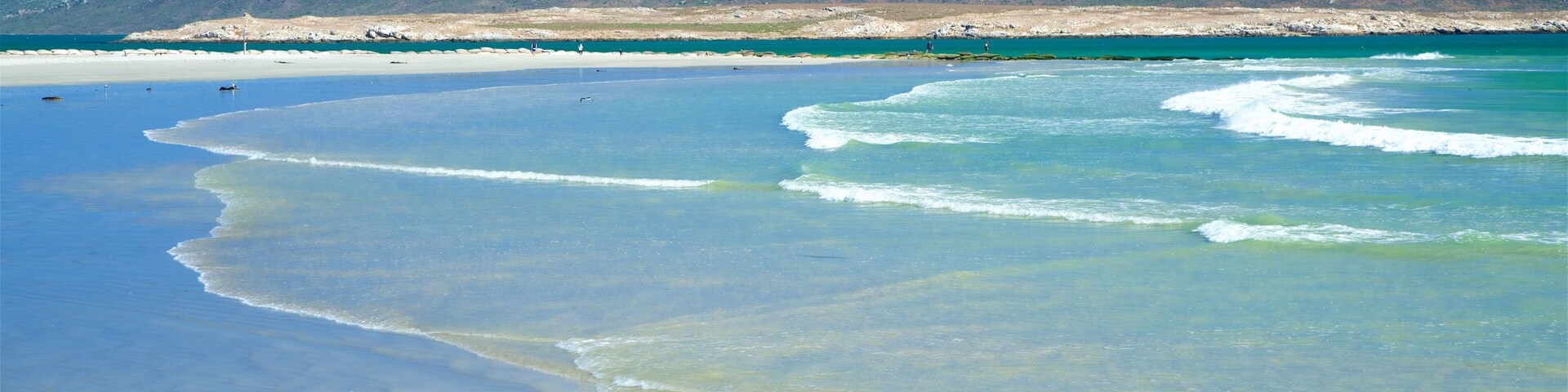 Langebaan showing surf, general coastal views and tranquil scenes