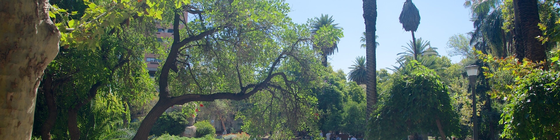 San Martin Square which includes a park as well as a small group of people
