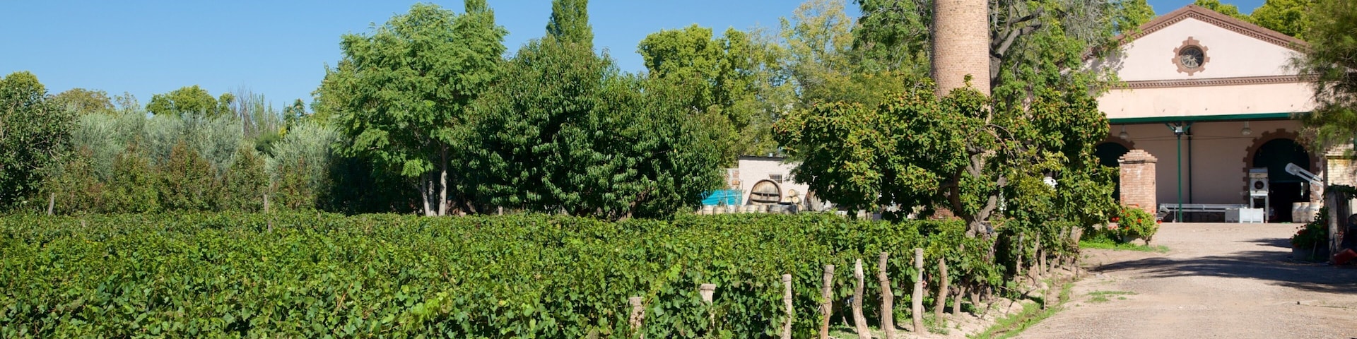 Lagarde Winery which includes farmland and a house