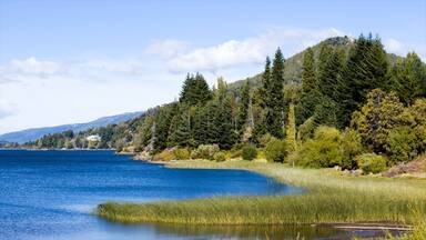 Um lago rodeado por floresta densa e colinas.