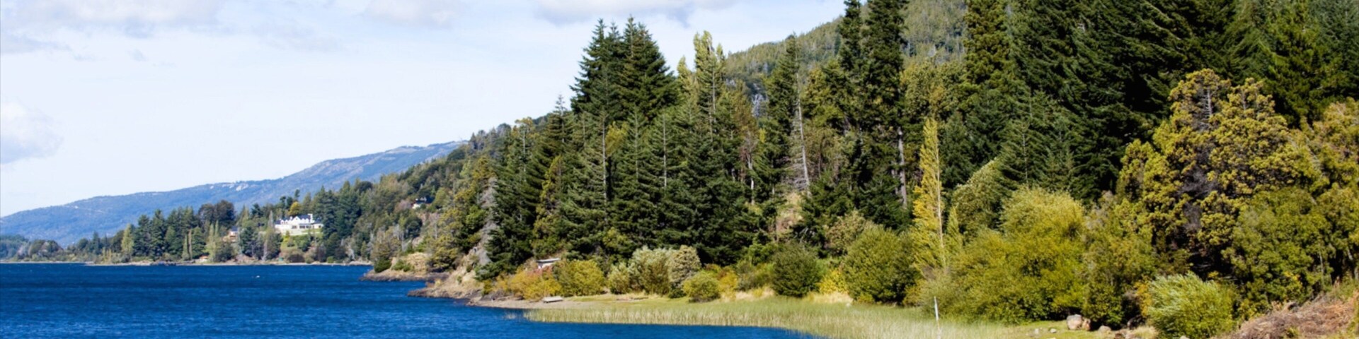Nahuel Huapi National Park showing forest scenes, landscape views and a lake or waterhole