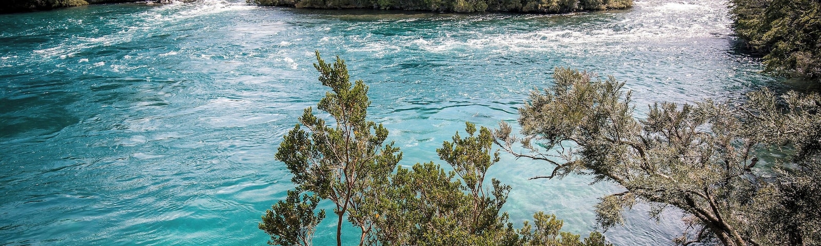 Just a few miles from the "pasarela río arrayanes"