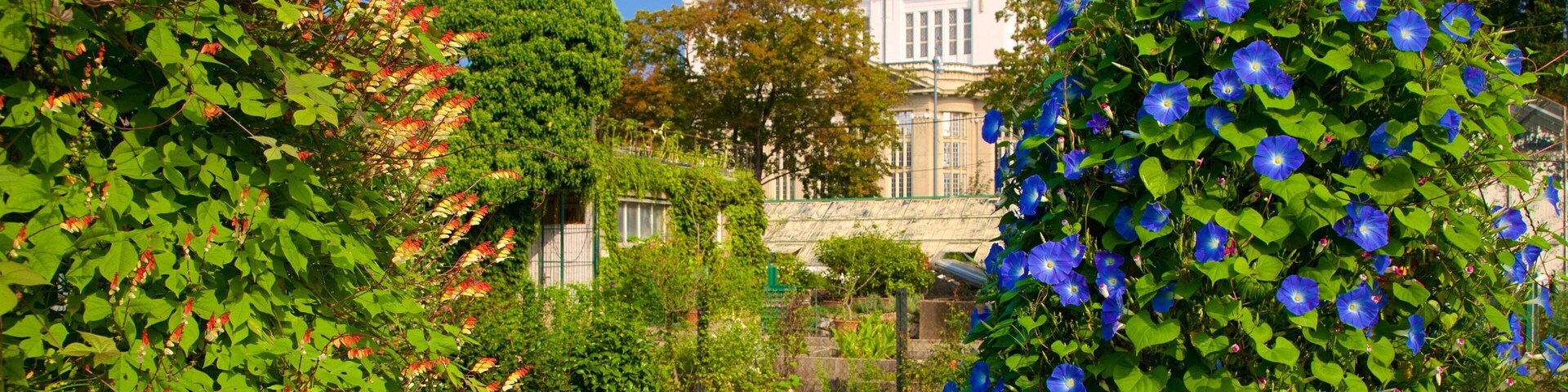 Jardim Botânico que inclui um parque