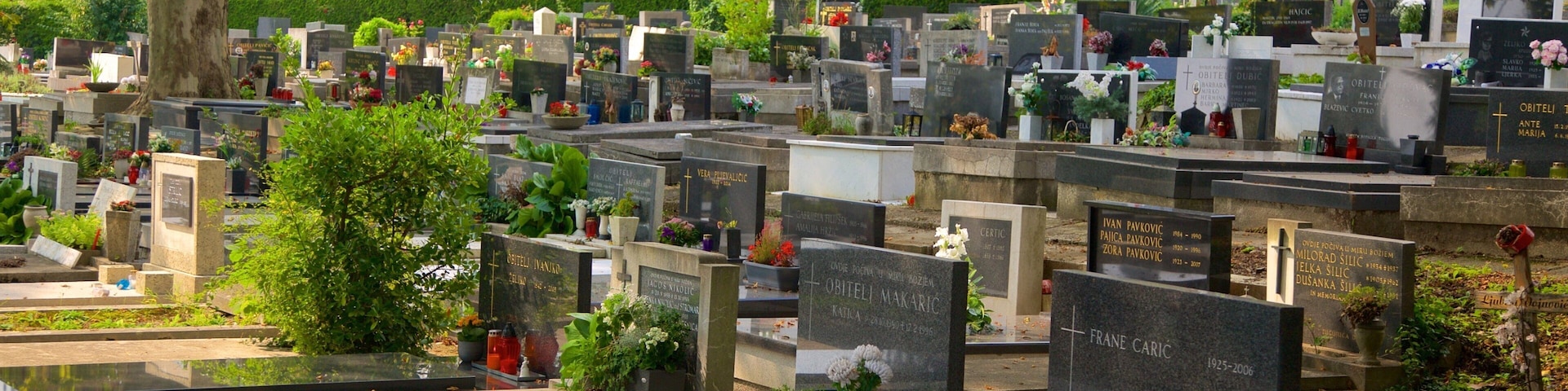 Mirogoj Cemetery which includes a cemetery
