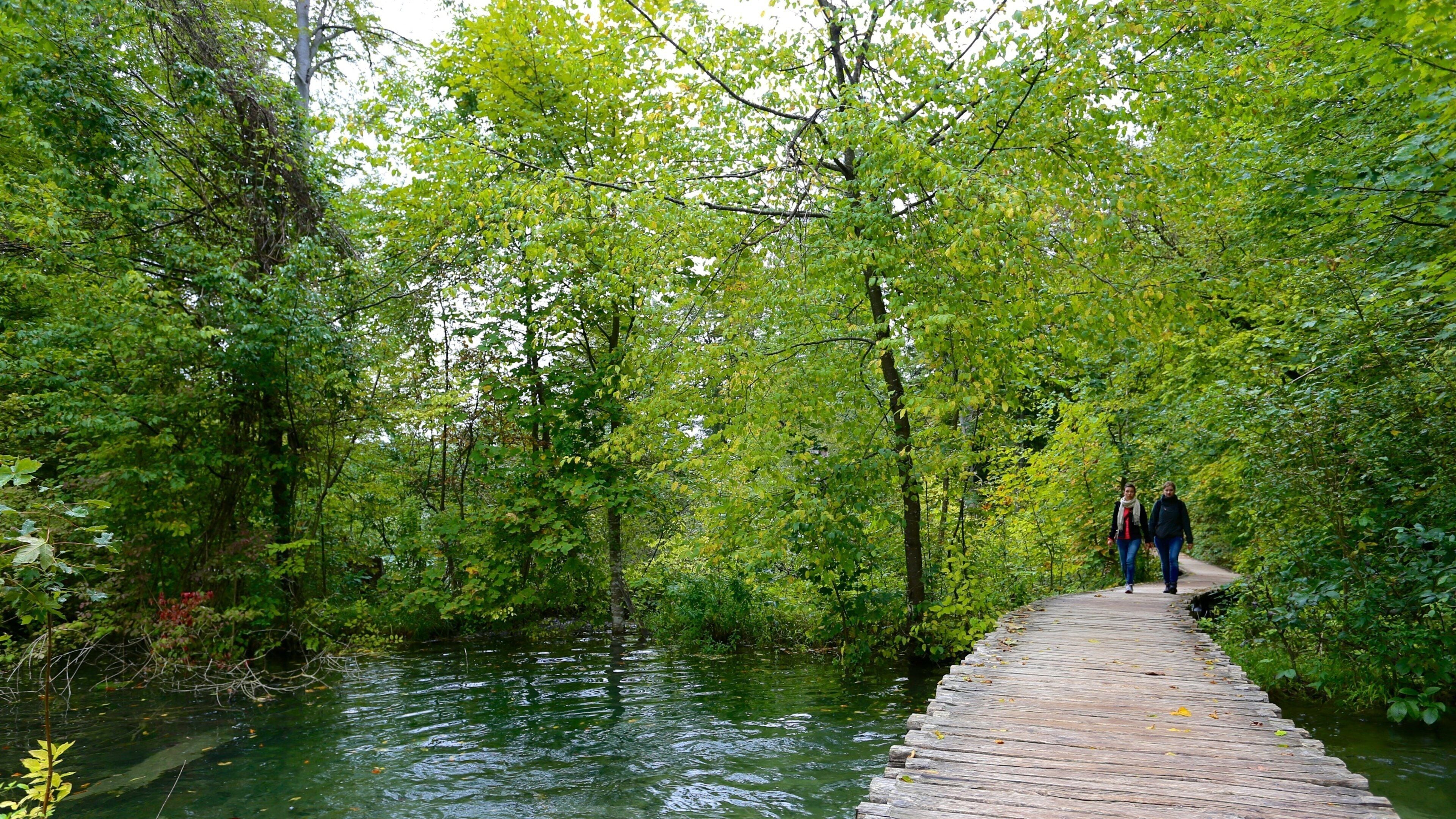 Plitvice Lakes National Park - Entrance 1 caracterizando floresta tropical e escalada ou caminhada