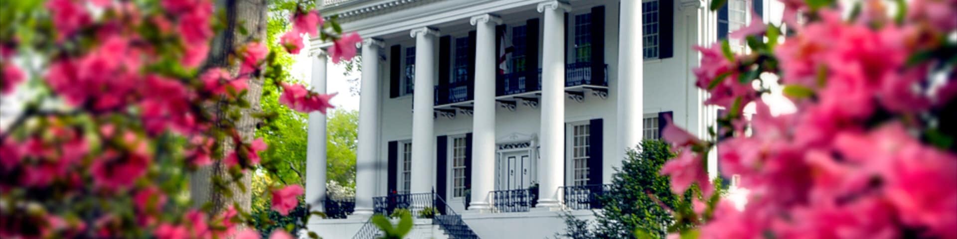 Tuscaloosa which includes heritage architecture, chateau or palace and flowers