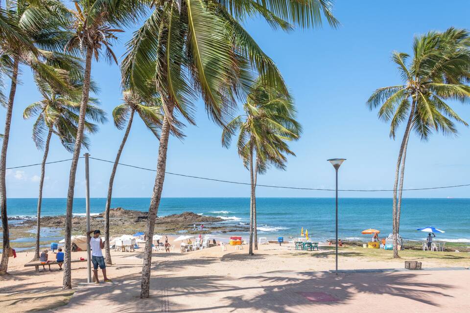 Uma praia com palmeiras, cadeiras de praia, guarda-sóis e o oceano.