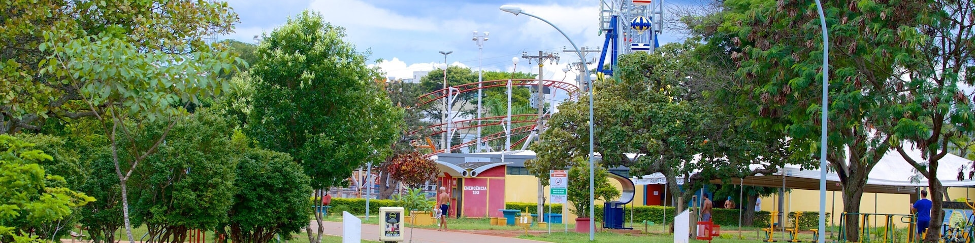 City Park showing rides and a park