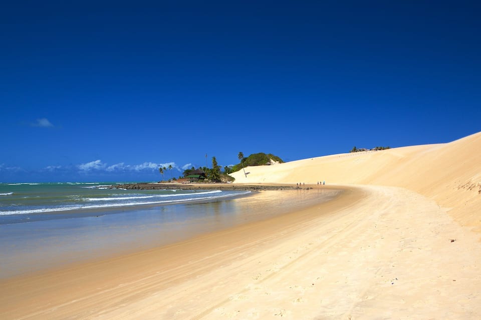 Uma praia de areia com ondas suaves, palmeiras e céu azul límpido.