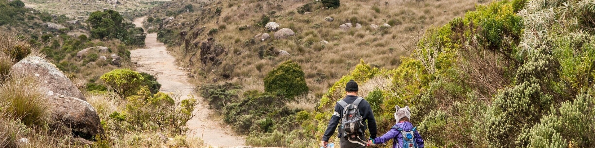 The "Itatiaia National Park" is located in a city called Itatiaia, 2 hours from the center of Rio de Janeiro and to get where this photo was taken, it is necessary to walk 10 kilometers by car up a dirt road at the entrance of the upper part of the Park near the place known as "Posto Marcão". The park has several accesses, many possibilities of footpaths and crossings and it is possible to camp.
#GreatOutDoors