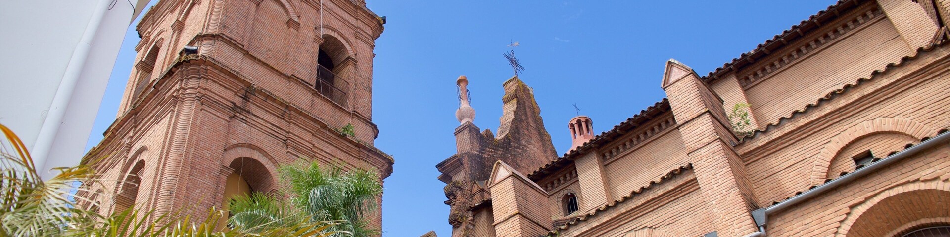 Catedral de San Lorenzo mostrando uma igreja ou catedral, elementos de patrimônio e arquitetura de patrimônio