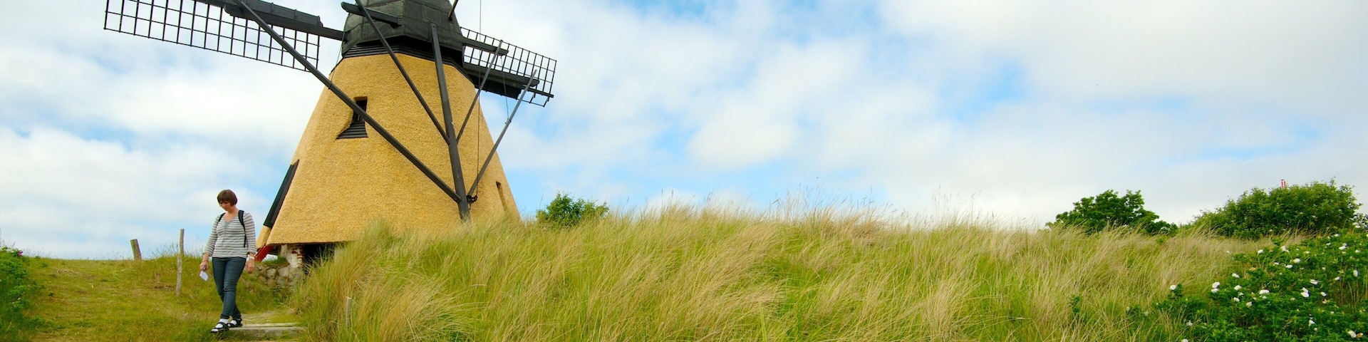 Skagen que inclui um moinho de vento assim como uma mulher sozinha