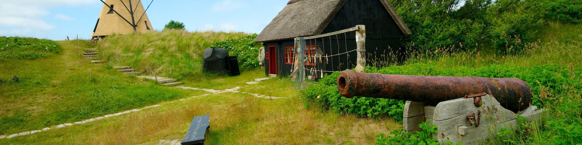 Skagen featuring a windmill
