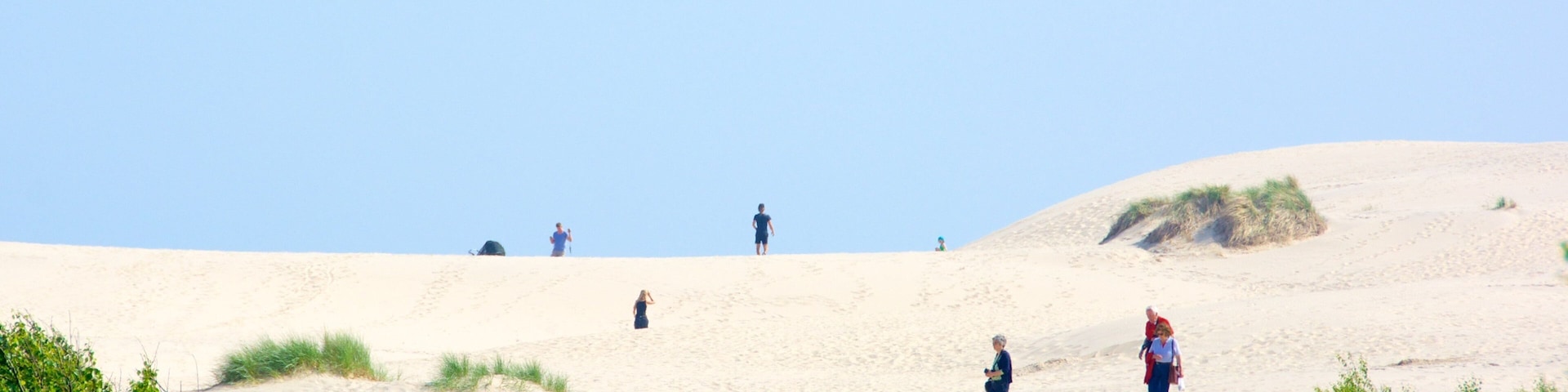Raabjerg Mile which includes general coastal views and a sandy beach