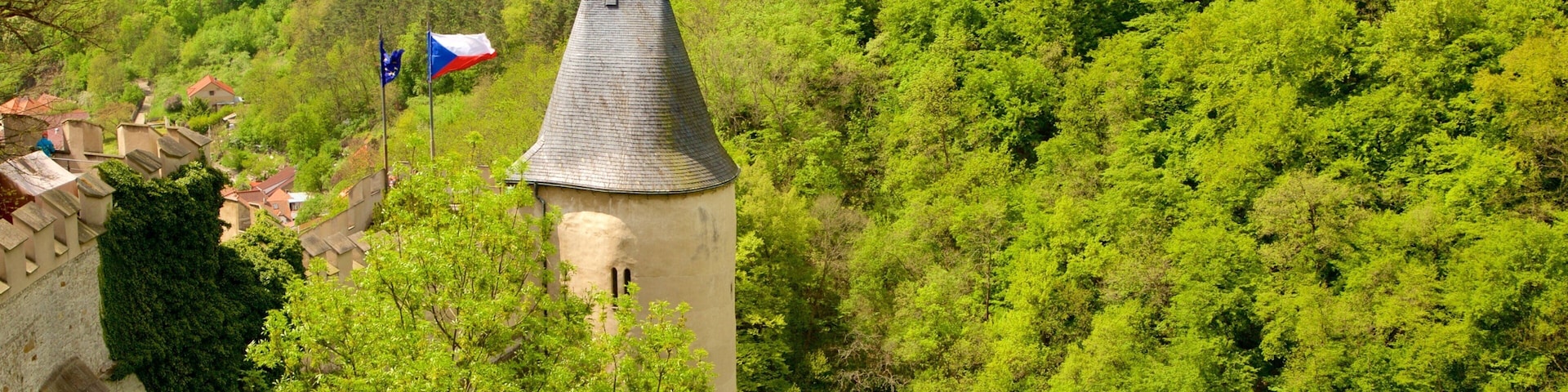 Castelo de Karlstejn caracterizando um castelo, elementos de patrimônio e florestas