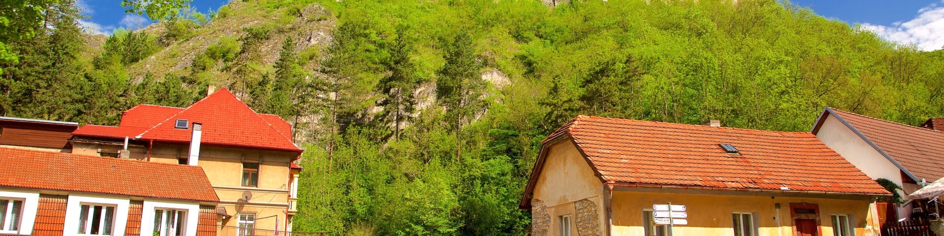 Karlstejn Castle featuring chateau or palace, heritage elements and a small town or village
