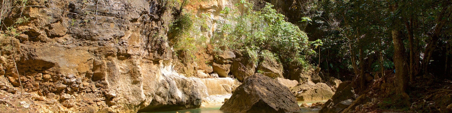 El Salto del Limon showing a gorge or canyon and a river or creek