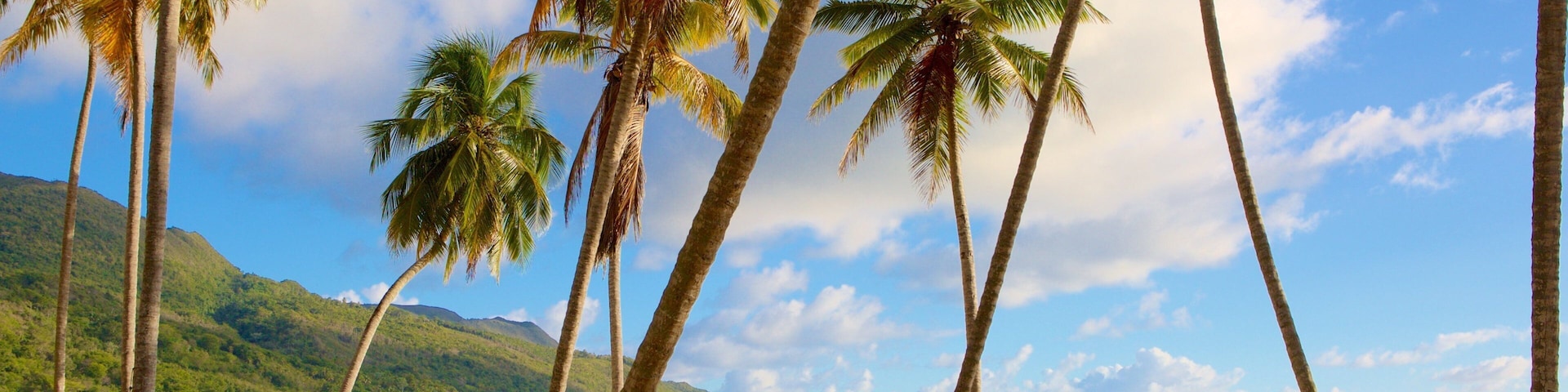 Rincon Beach featuring tropical scenes and general coastal views
