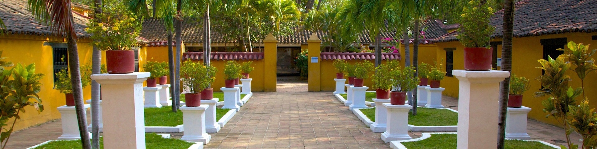 Quinta de San Pedro Alejandrino featuring heritage elements