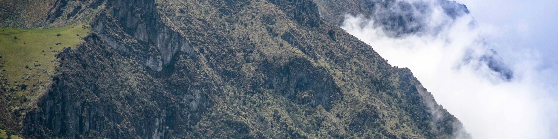 Los Nevados National Park showing mist or fog and mountains
