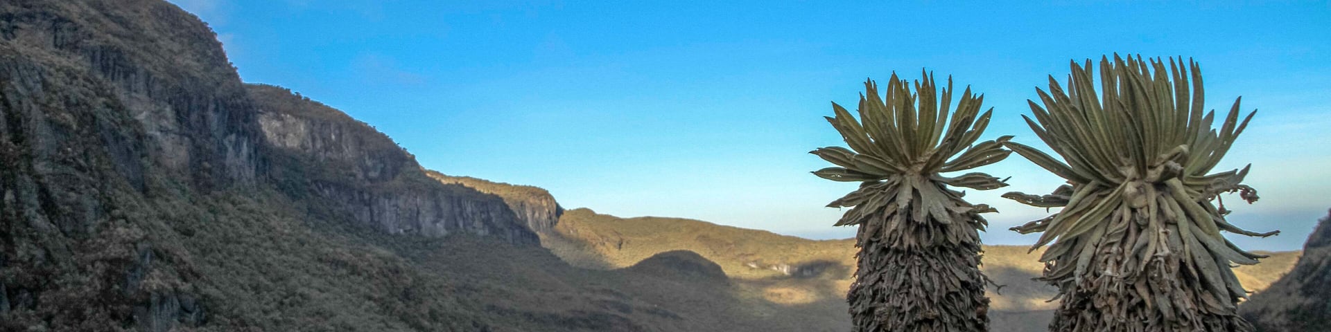 Los Nevados National Park showing desert views