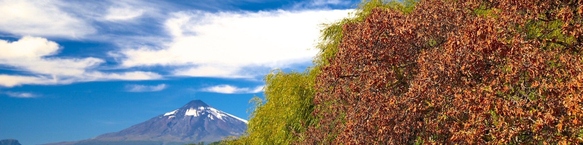 Lake Villarrica featuring a lake or waterhole, mountains and a park