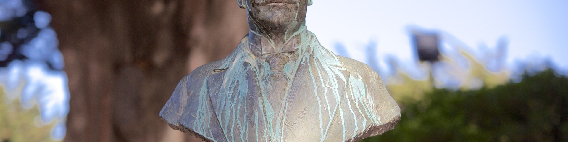 Plaza Munoz Gamero showing a statue or sculpture and a park