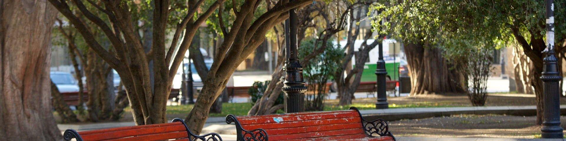 Plaza Munoz Gamero caracterizando um parque