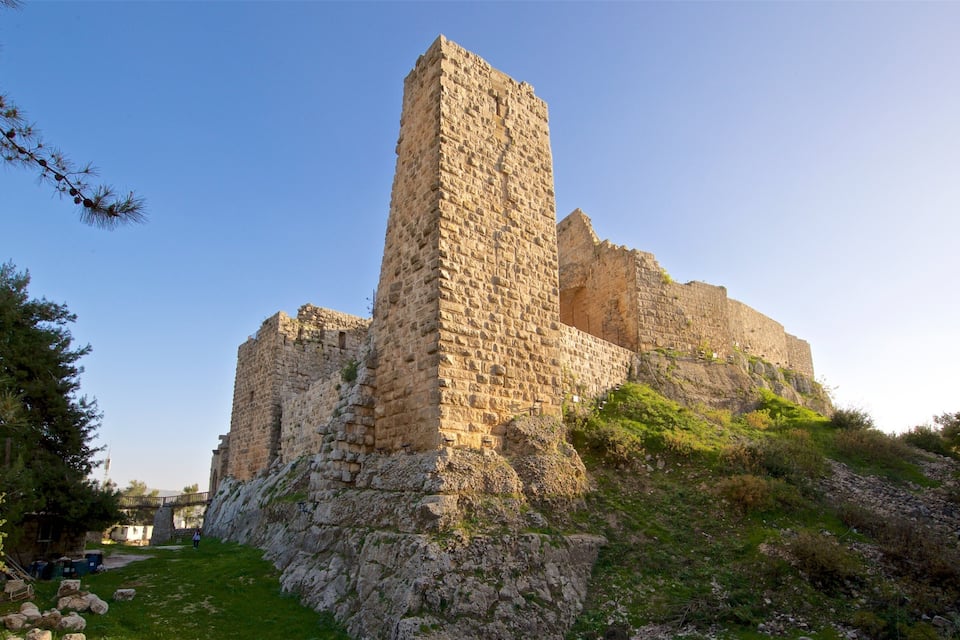 Um castelo de pedra histórico com uma torre central alta, rodeado por vegetação e terreno rochoso.