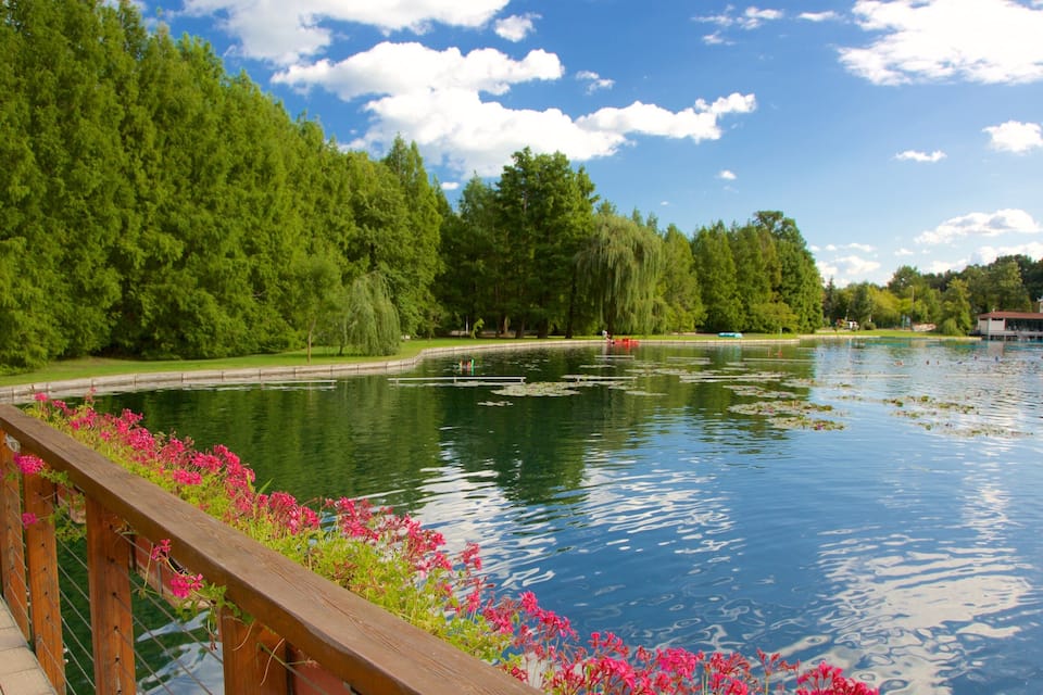 Um lago calmo com um deck de madeira e flores cor-de-rosa em primeiro plano, cercado por árvores verdes densas e um céu azul límpido.