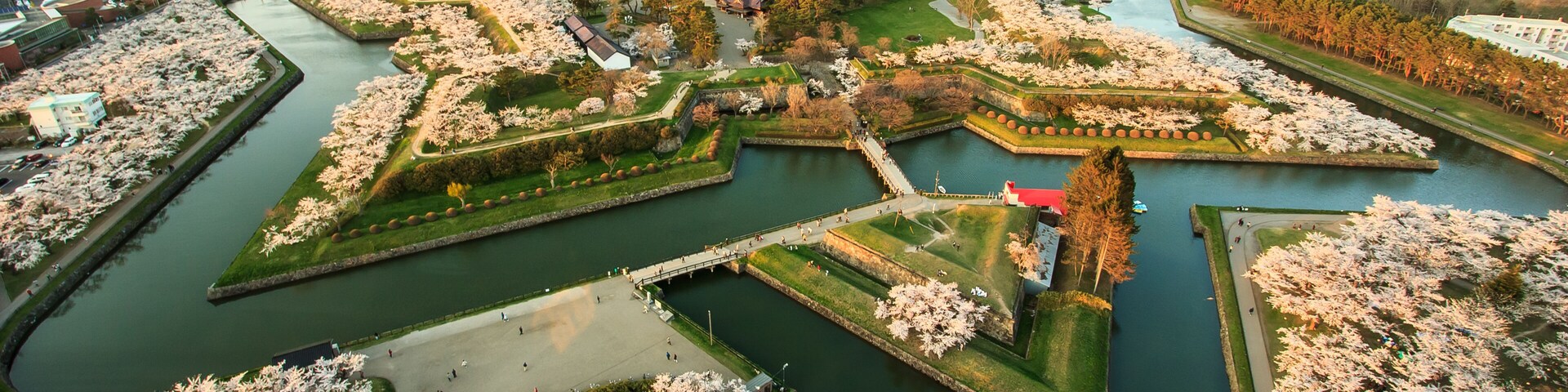 Vista urbana com um rio, cerejeiras em flor e uma ponte.