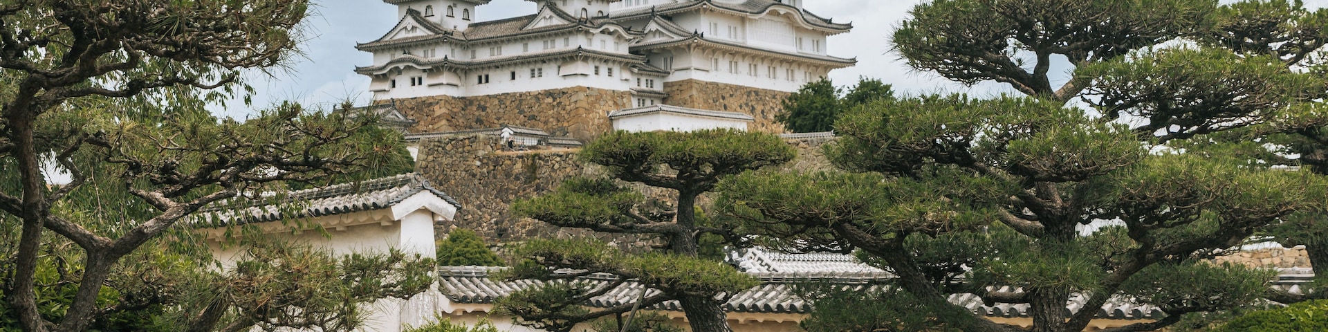 Um castelo japonês tradicional, com vários níveis e paredes brancas, rodeado por pinheiros e uma pequena cerca de madeira.